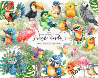 Watercolor Tropical Birds Clipart, Bird of Paradise Clip Art, Wild ...