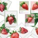 Watercolor Berry Graphics With Sweet Fruit Designs Bundle, Watercolor ...