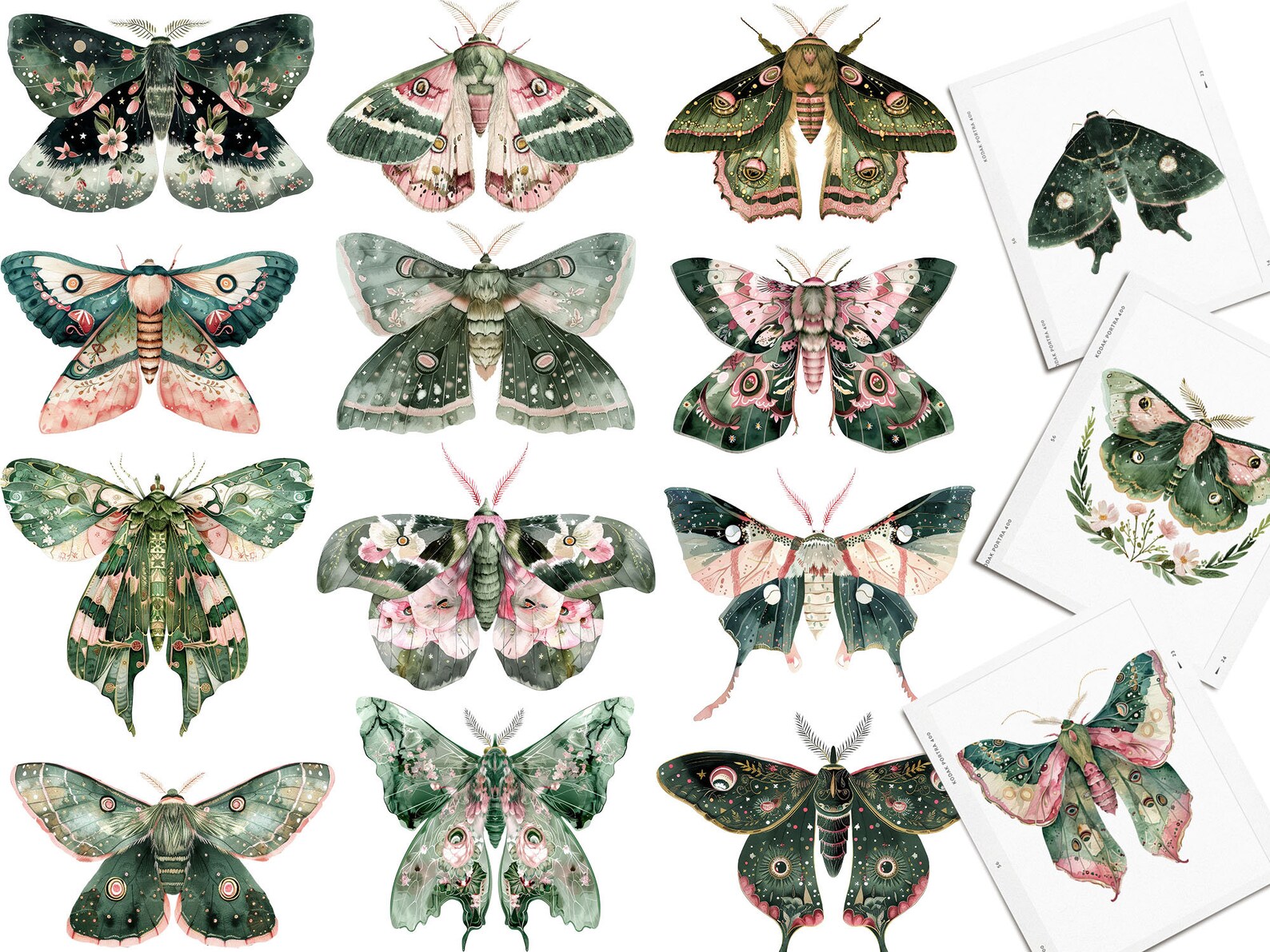 Magic Moth Clipart, Mystical Moth Clip Art, Boho Butterfly Png ...