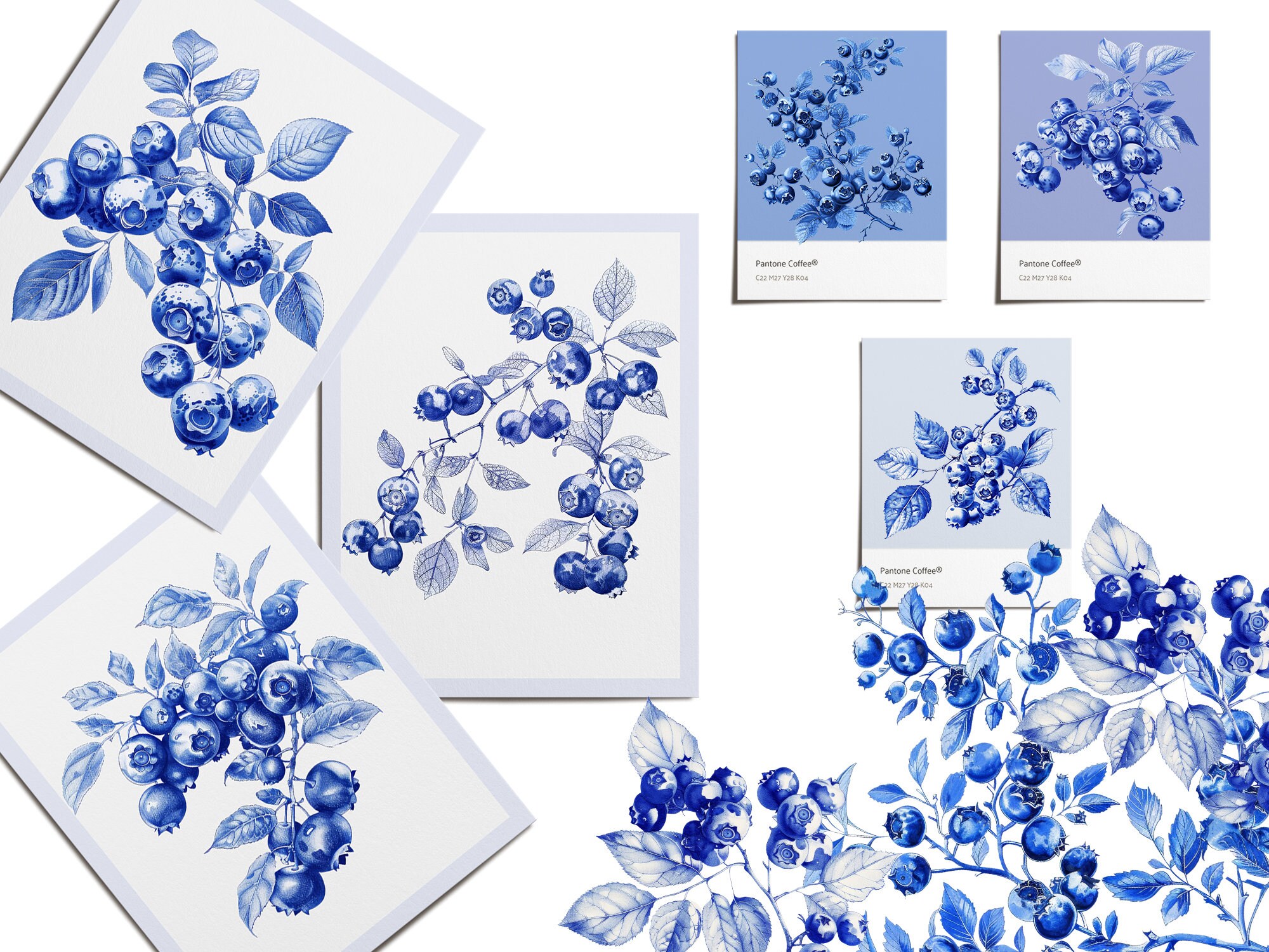 Watercolor Blueberry Clipart, Watercolor Berry Art, Blueberry Png ...