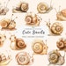 Watercolor Snail, Cute Snail Clipart, Gardening Snail Clipart, Kawaii ...