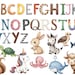 Watercolor Cute Little Animal Alphabet Clipart, Cute Jungle Alphabet ...