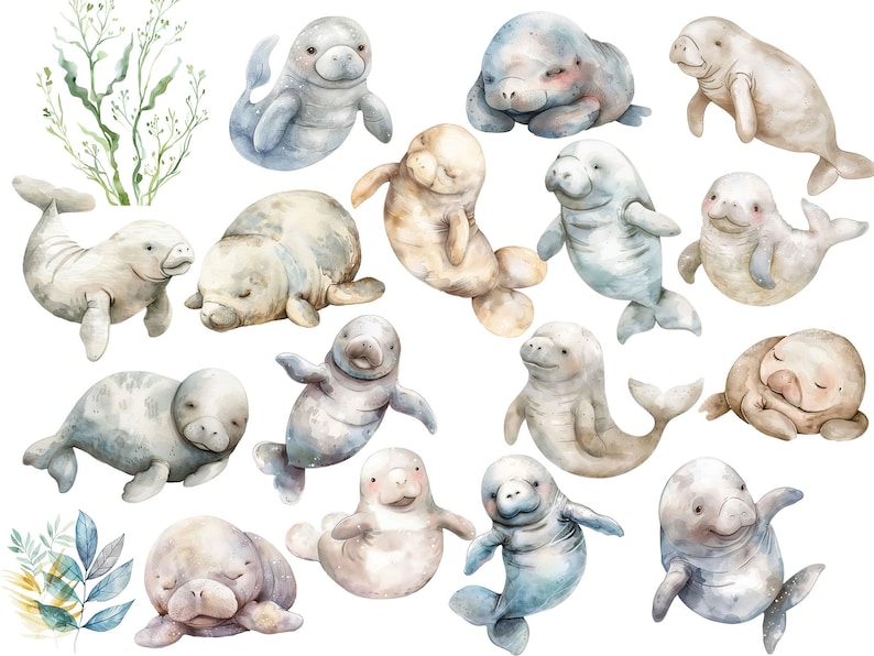 Baby Watercolor Manatees Clipart, Manatee Baby Png, Aquatic Clipart ...