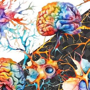 Anatomy Art, Brain Art, Mental Health Png, Neurology Art,neuroscience ...