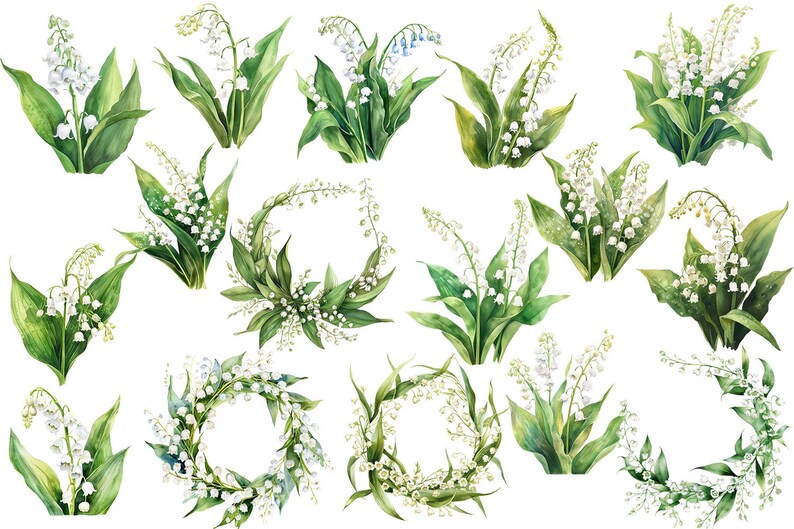 Lily of the Valley Clipart, Lily of the Valley Plant, Watercolor Floral ...