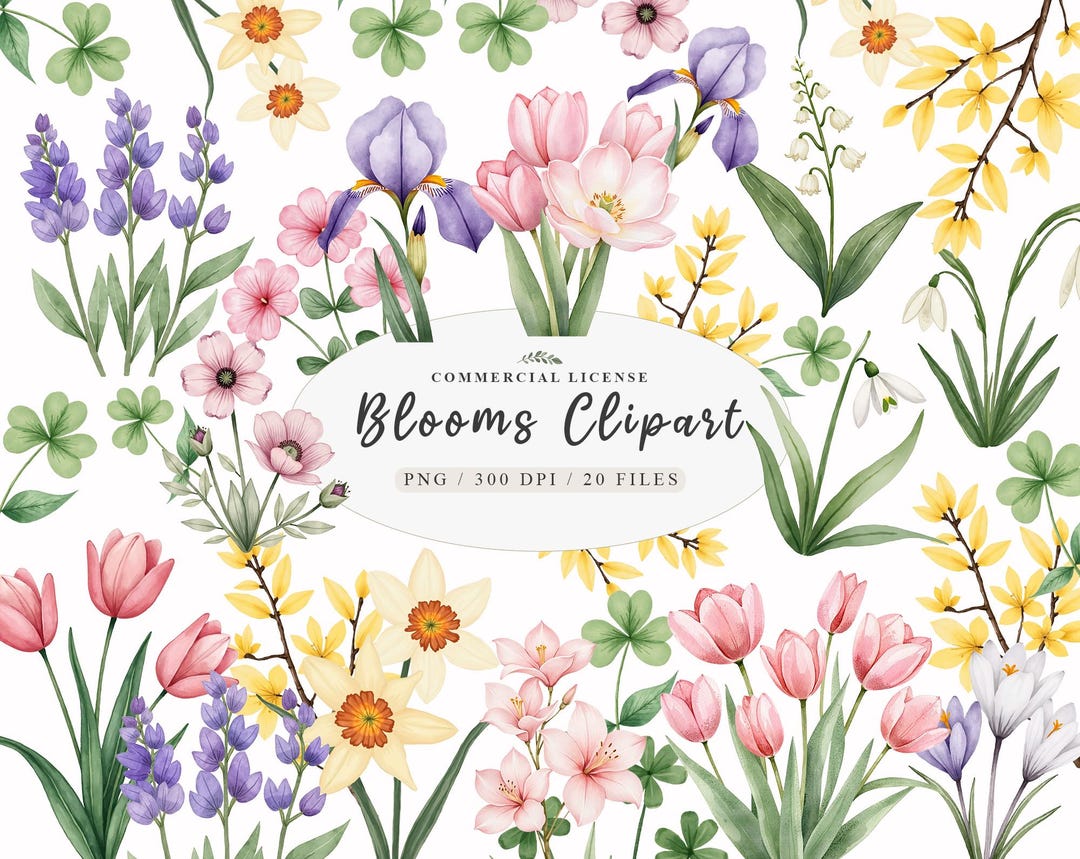Watercolor Botanical Spring Blooms Floral Elements Clipart, Wildflower ...