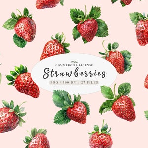 Watercolor Berry Graphics With Sweet Fruit Designs Bundle, Watercolor ...