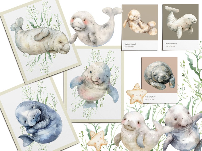 Baby Watercolor Manatees Clipart, Manatee Baby Png, Aquatic Clipart ...