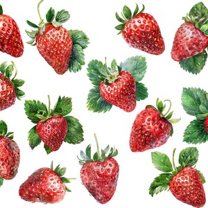 Watercolor Berry Graphics With Sweet Fruit Designs Bundle, Watercolor ...