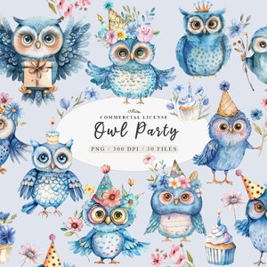 Baby Owl Clipart, Birthday Owl Party Png, Cute Birthday Owl, Cute Owl ...