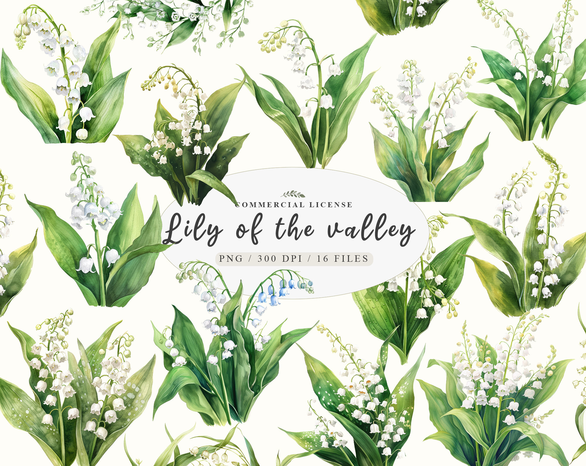 Lily of the Valley Clipart, Lily of the Valley Plant, Watercolor Floral ...