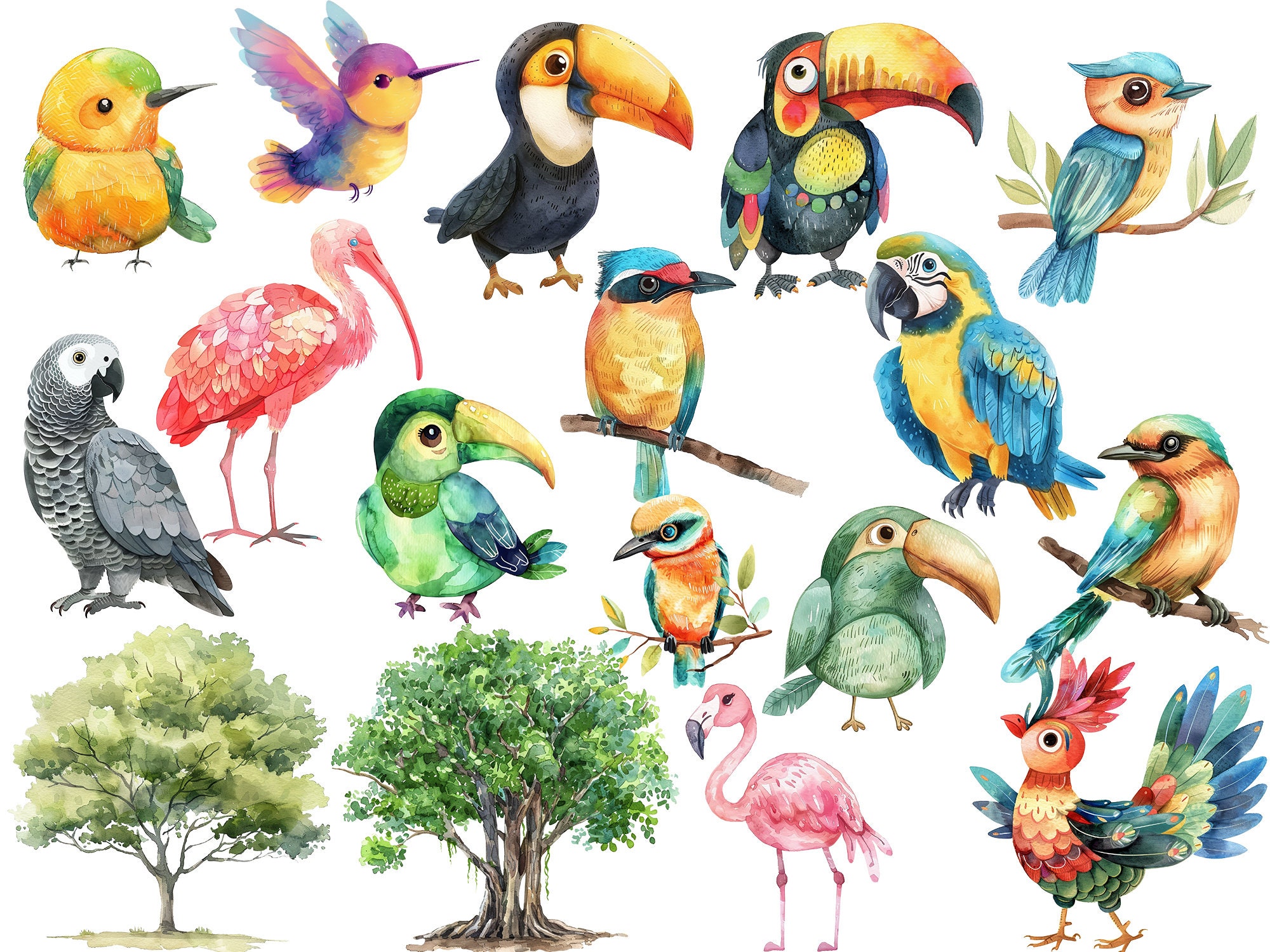 Tropical Bird Png, Jungle Bird Clipart, Watercolor Toucan Clipart ...