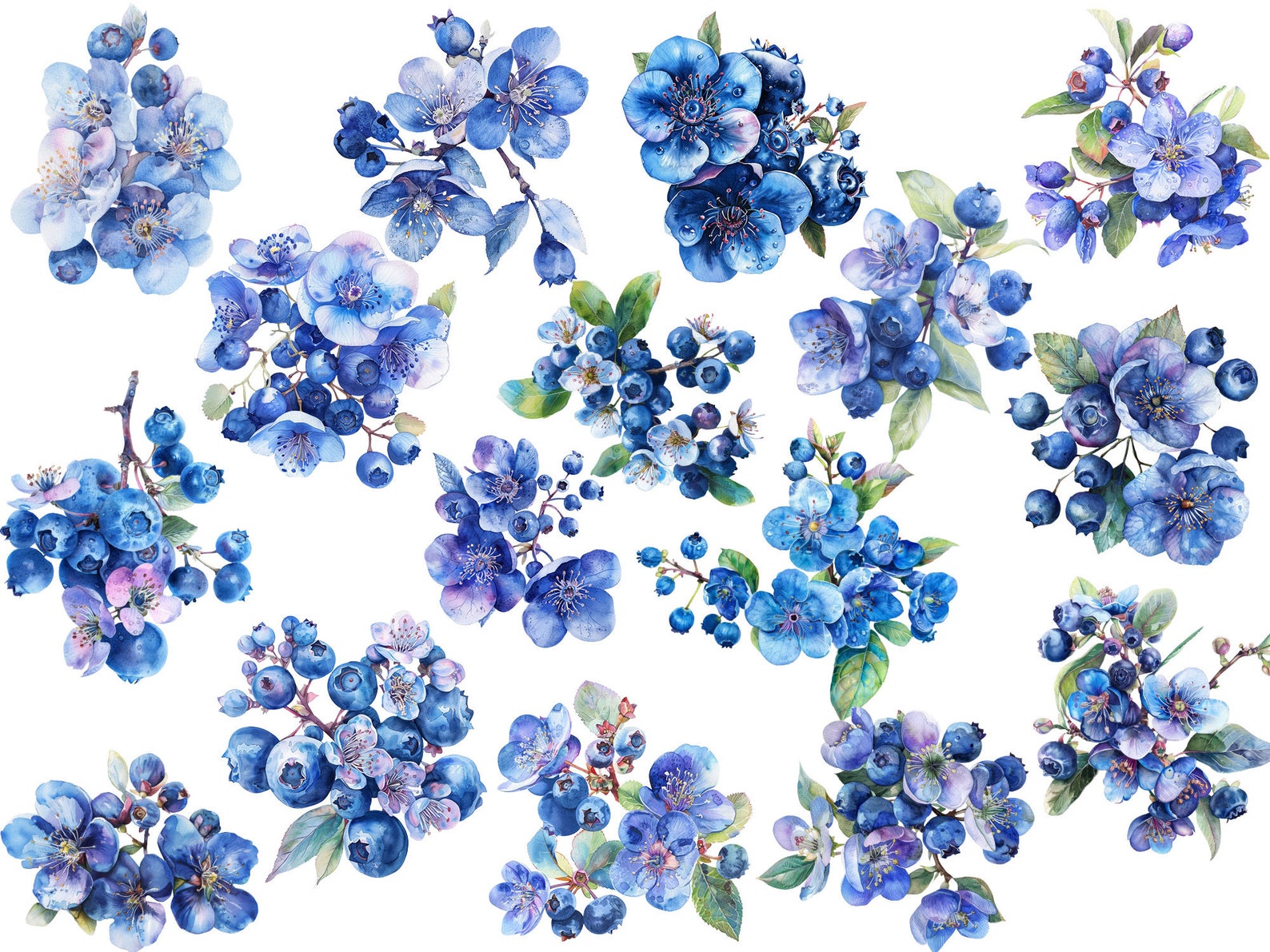 Blueberry Clipart Set, Blueberry Art Print Bundle, Watercolor Berries ...