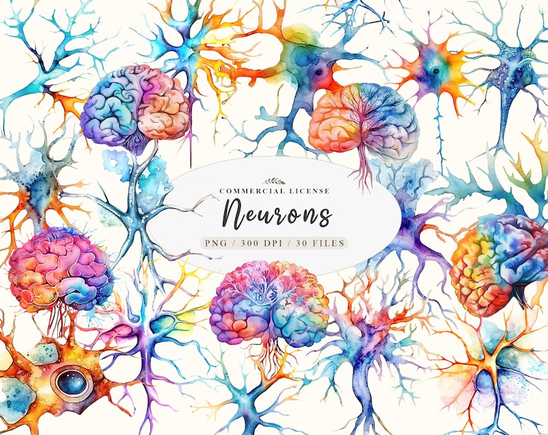 Anatomy Art, Brain Art, Mental Health Png, Neurology Art,neuroscience ...