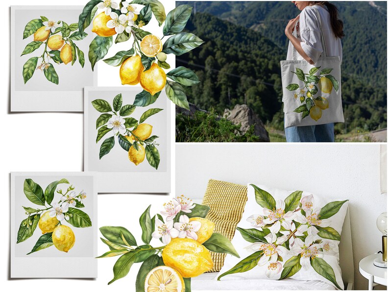 Vibrant Citrus Blossom Clipart PNG for Fruit Bundle, Citrus Watercolor ...