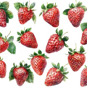 Watercolor Berry Graphics With Sweet Fruit Designs Bundle, Watercolor ...
