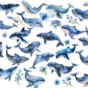 Whale Watercolor Kawaii Ocean Art Bundle, Blue Whale Watercolor, Whale ...