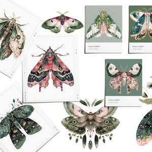 Magic Moth Clipart, Celestial Moth Png, Magical Moth Witchy Clipart ...