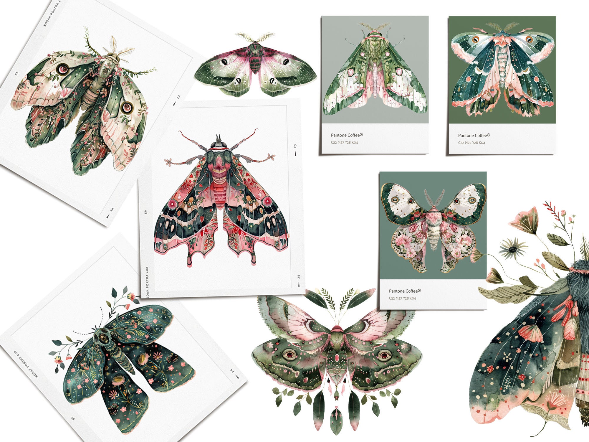 Magic Moth Clipart, Celestial Moth Png, Magical Moth Witchy Clipart ...