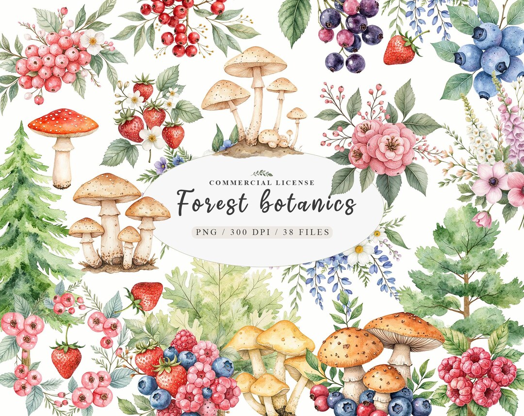 Watercolor Botanical Forest Wildflower Mushrooms Clipart, Wildflower ...