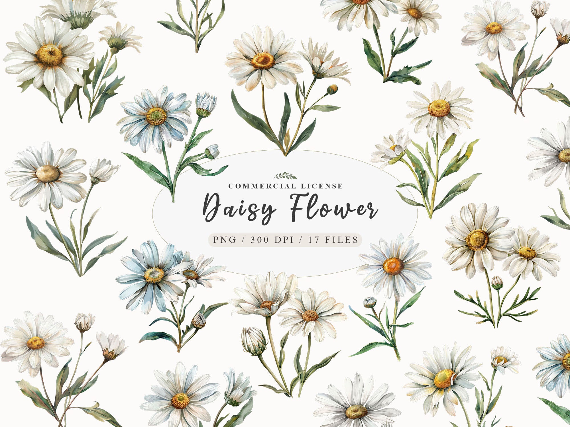 Daisy Flower Clipart, Watercolor Daisy Clipart, Wild Flower Bouquet ...