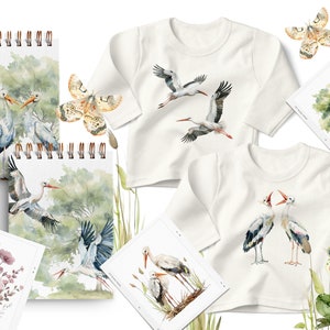 White Stork Clipart, Heron Clipart, Stork Clipart, Stork Graphics, Frog ...