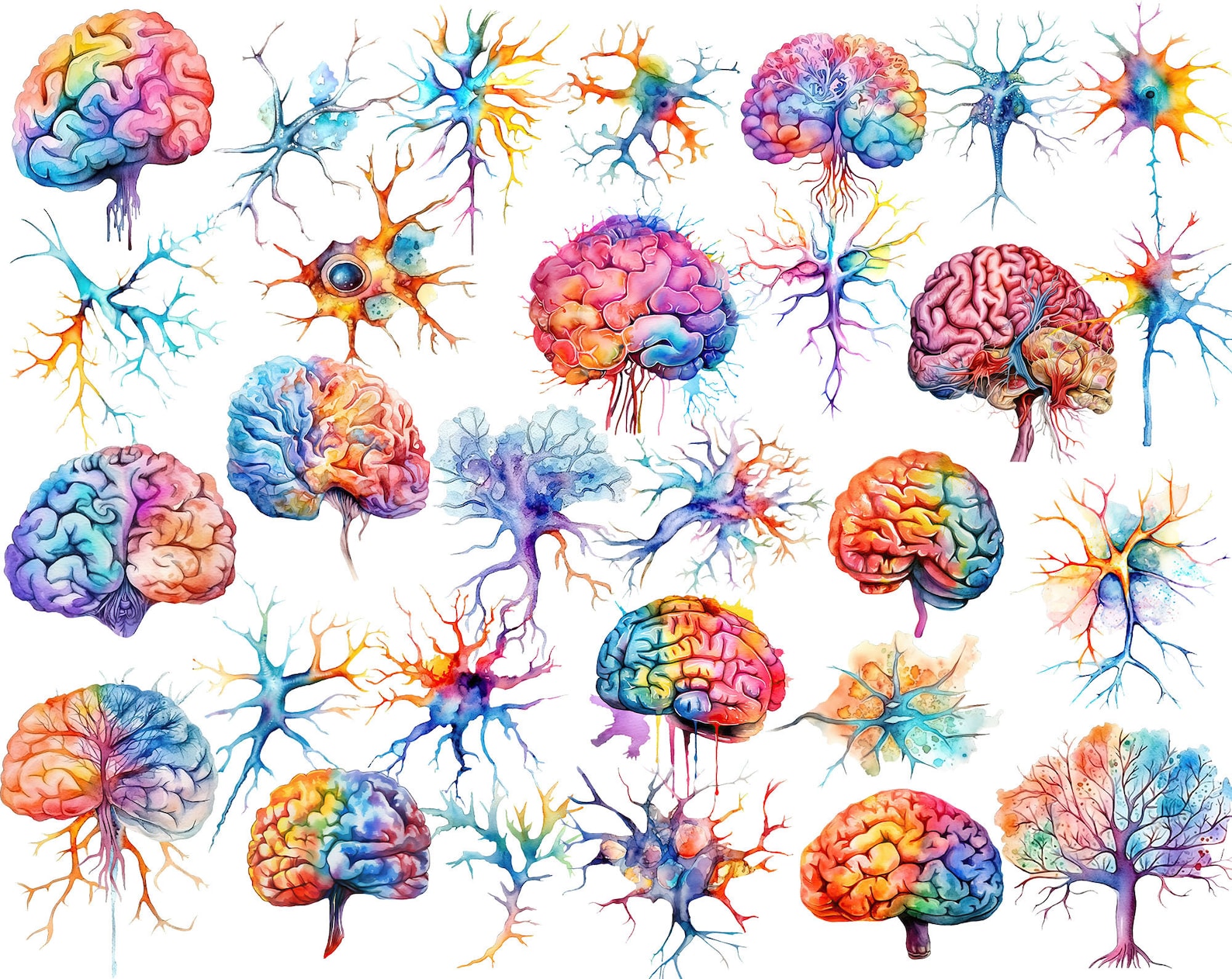 Anatomy Art, Brain Art, Mental Health Png, Neurology Art,neuroscience ...