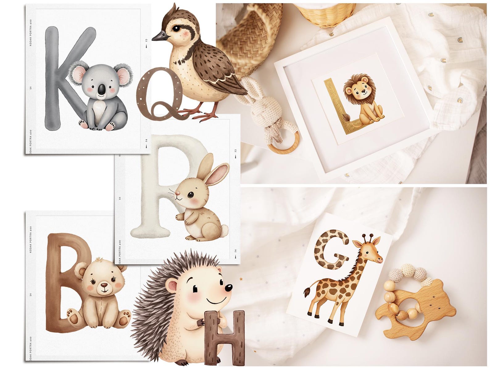 Watercolor Cute Little Animal Alphabet Clipart, Cute Jungle Alphabet ...