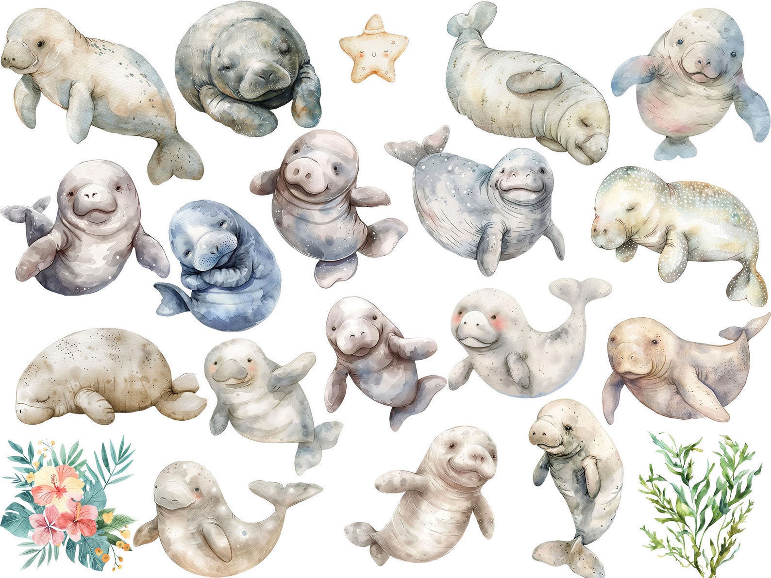 Baby Watercolor Manatees Clipart, Manatee Baby Png, Aquatic Clipart ...