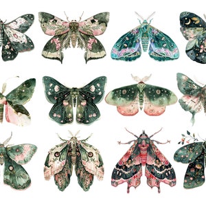 Magic Moth Clipart, Celestial Moth Png, Magical Moth Witchy Clipart ...