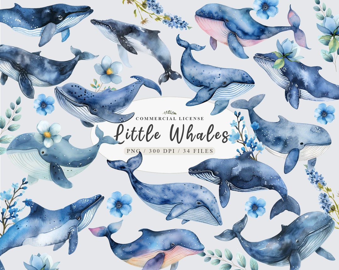 Whale Watercolor Kawaii Ocean Art Bundle, Blue Whale Watercolor, Whale ...