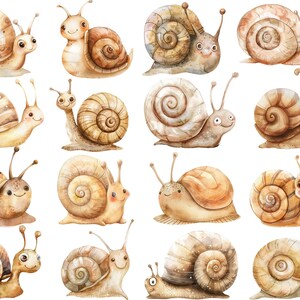 Watercolor Snail, Cute Snail Clipart, Gardening Snail Clipart, Kawaii ...