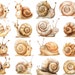 Watercolor Snail, Cute Snail Clipart, Gardening Snail Clipart, Kawaii ...
