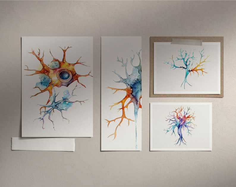 Anatomy Art, Brain Art, Mental Health Png, Neurology Art,neuroscience ...