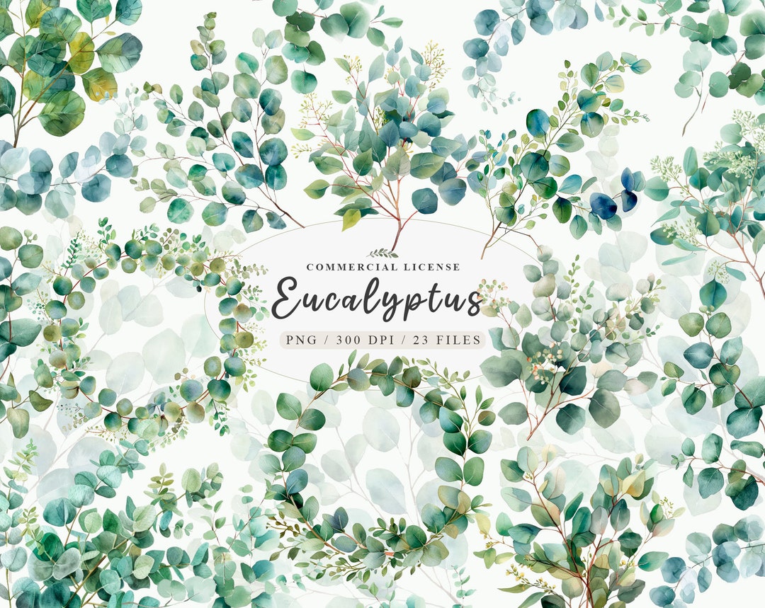 Watercolor Greenery Bundle With Eucalyptus Wreath Clipart, Eucalyptus ...
