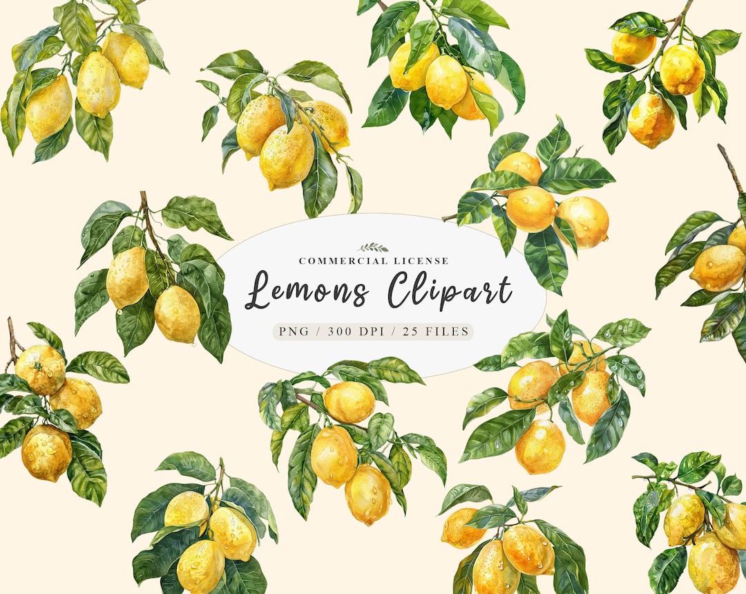 Watercolor Citrus Fruit Clipart Bundle, Fresh Lemon Elements Painting ...