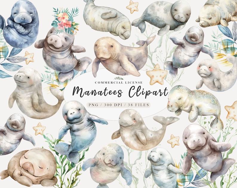 Baby Watercolor Manatees Clipart, Manatee Baby Png, Aquatic Clipart ...