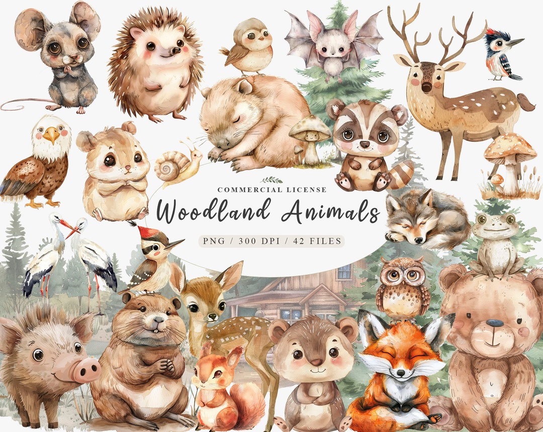 Watercolor Boho Forest Animal Clipart Bundle for Baby Shower and ...