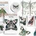 Magic Moth Clipart, Celestial Moth Png, Magical Moth Witchy Clipart ...
