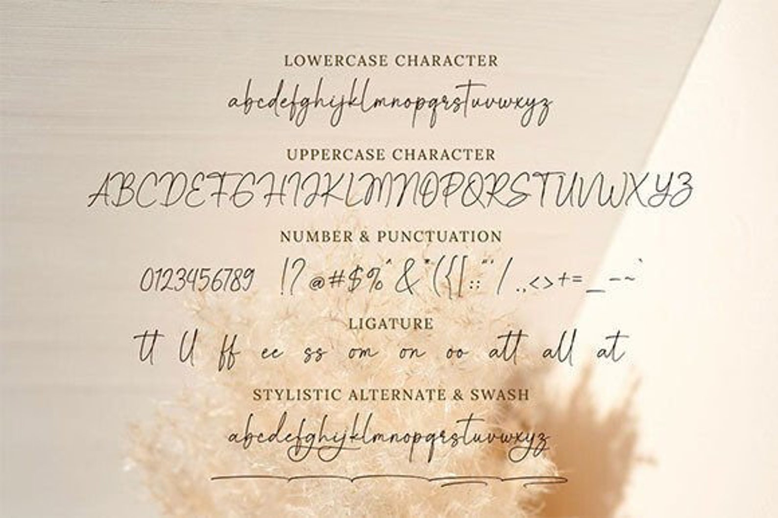 Getting Everything Font, Display Font, Vintage Cricut Font, Font Bundle ...