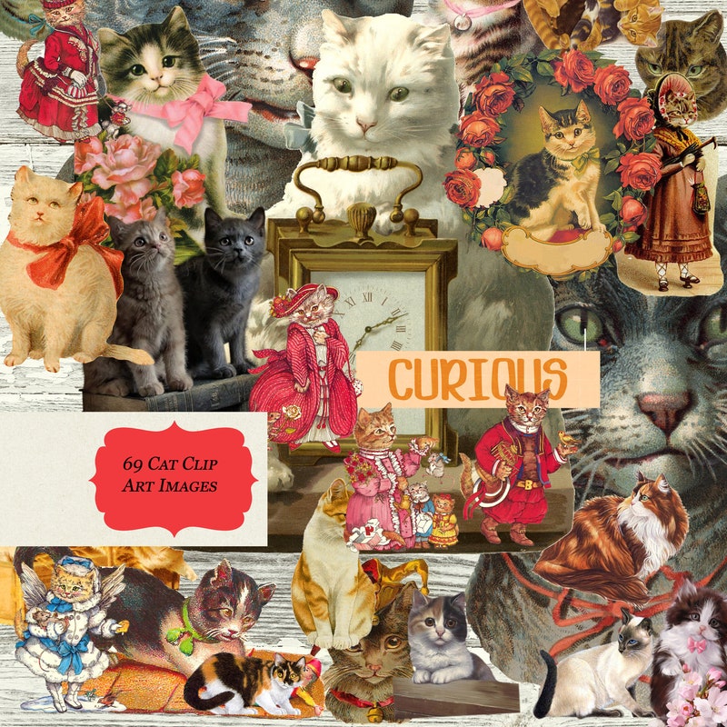 Cat Collage - Etsy