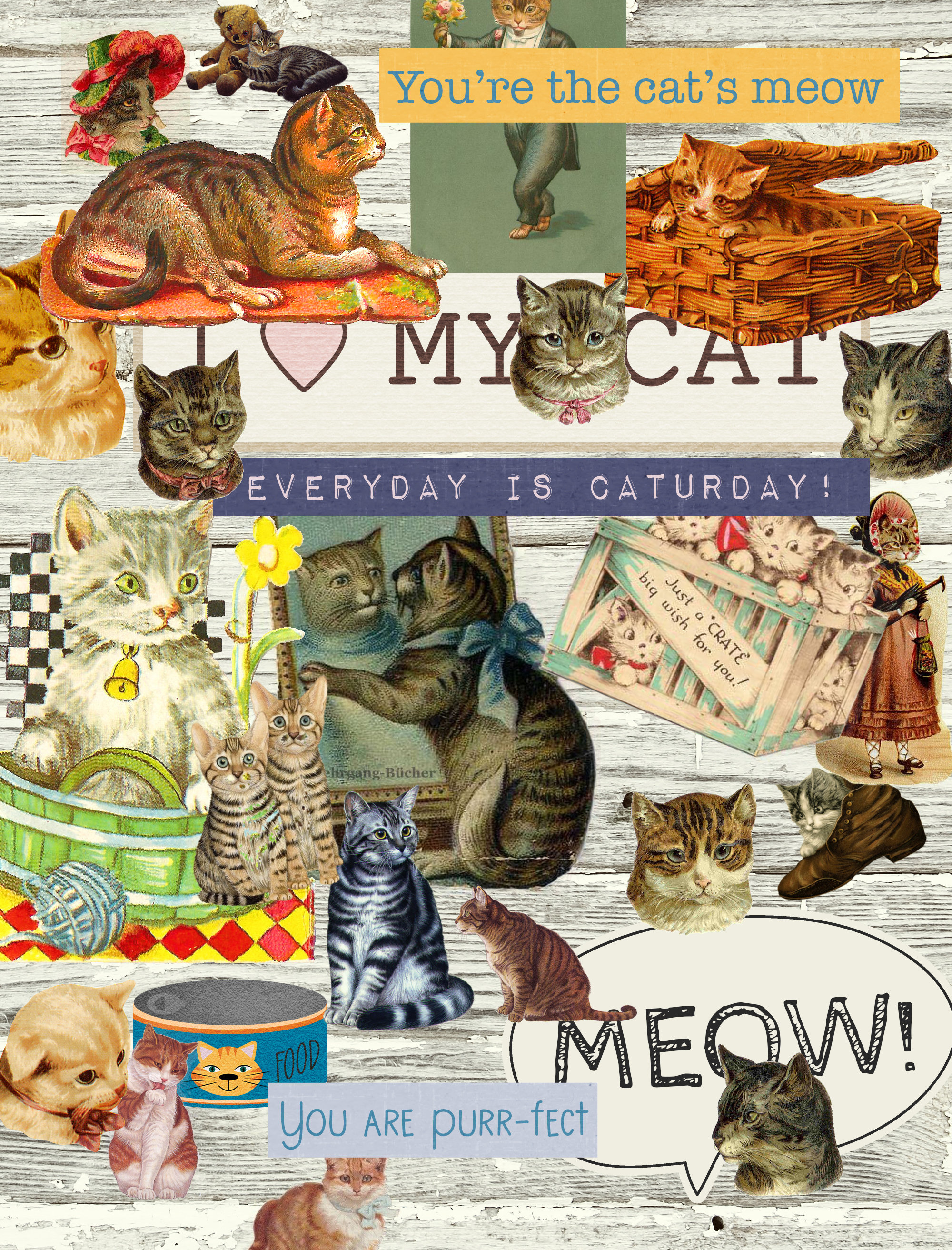 Cats Collage Wallpaper