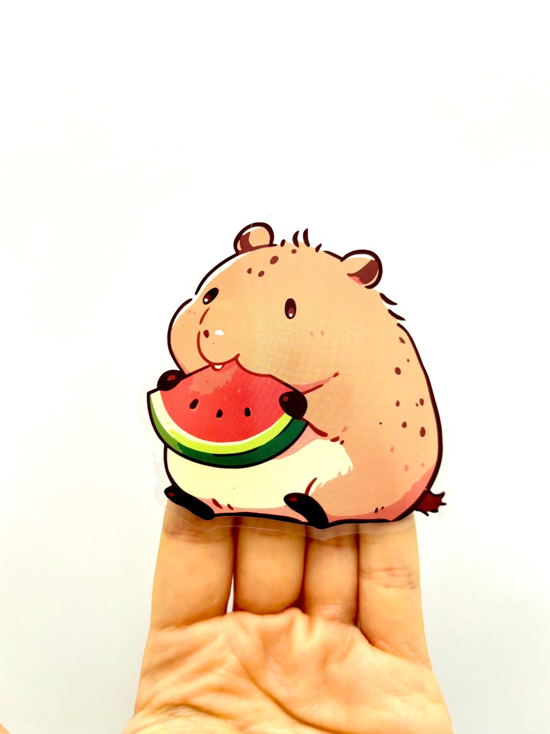 Capybara Stickers Funny Capybara Sticker Watermelon Sticker Anime ...
