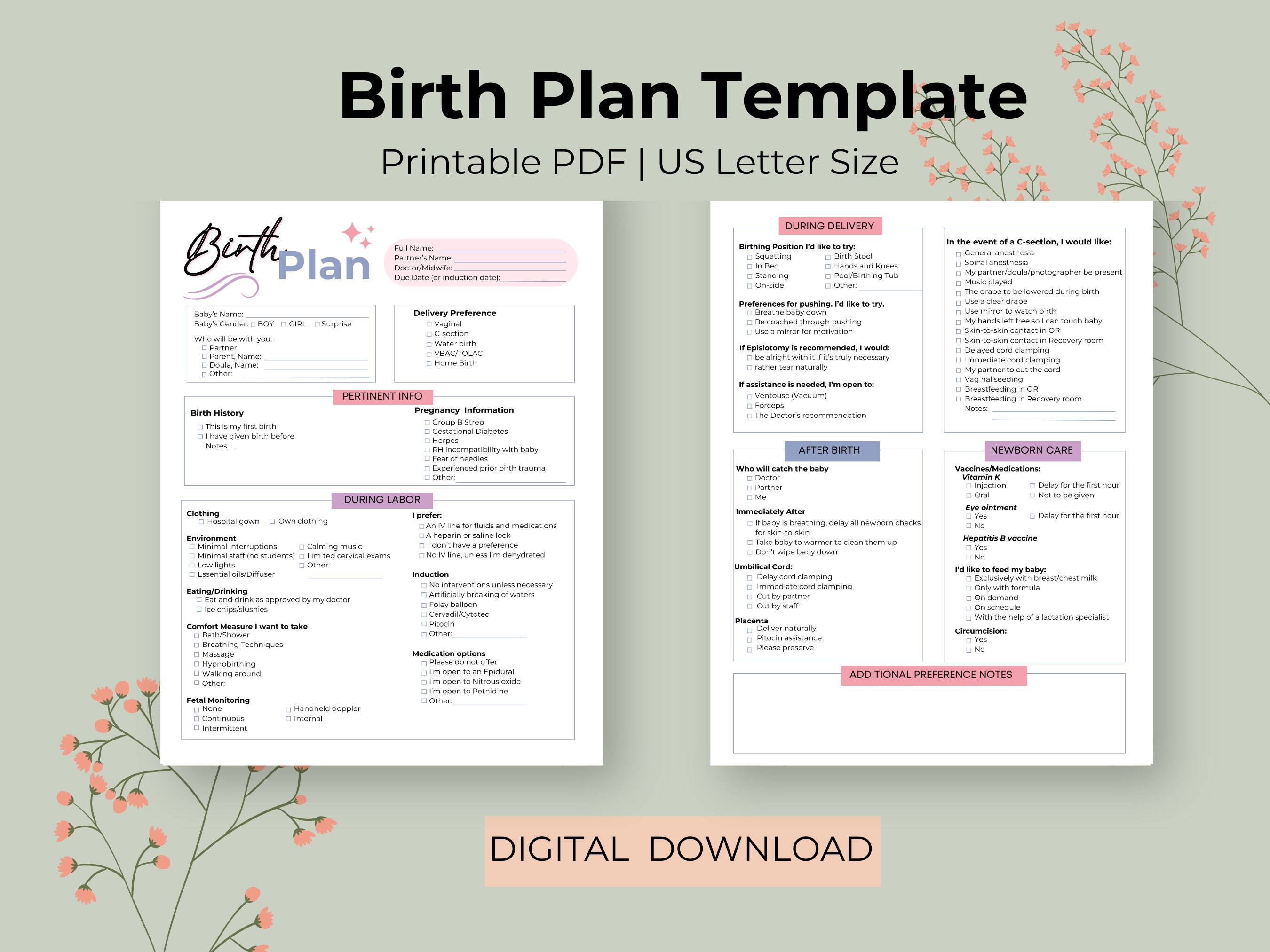 Editable Birth Plan Template Printable Birth Preferences Birth Plan ...