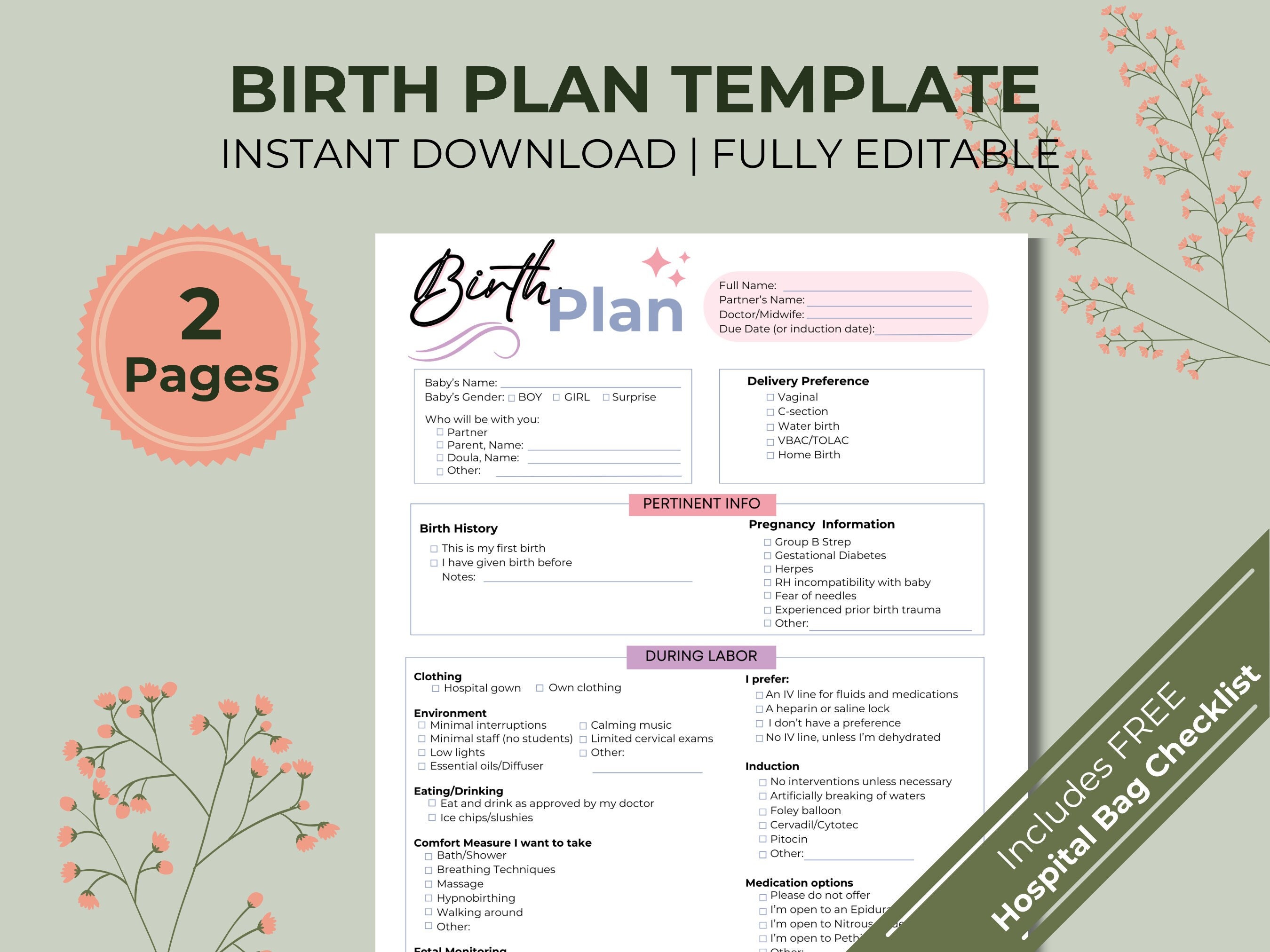 Editable Birth Plan Template Printable Birth Preferences Birth Plan ...