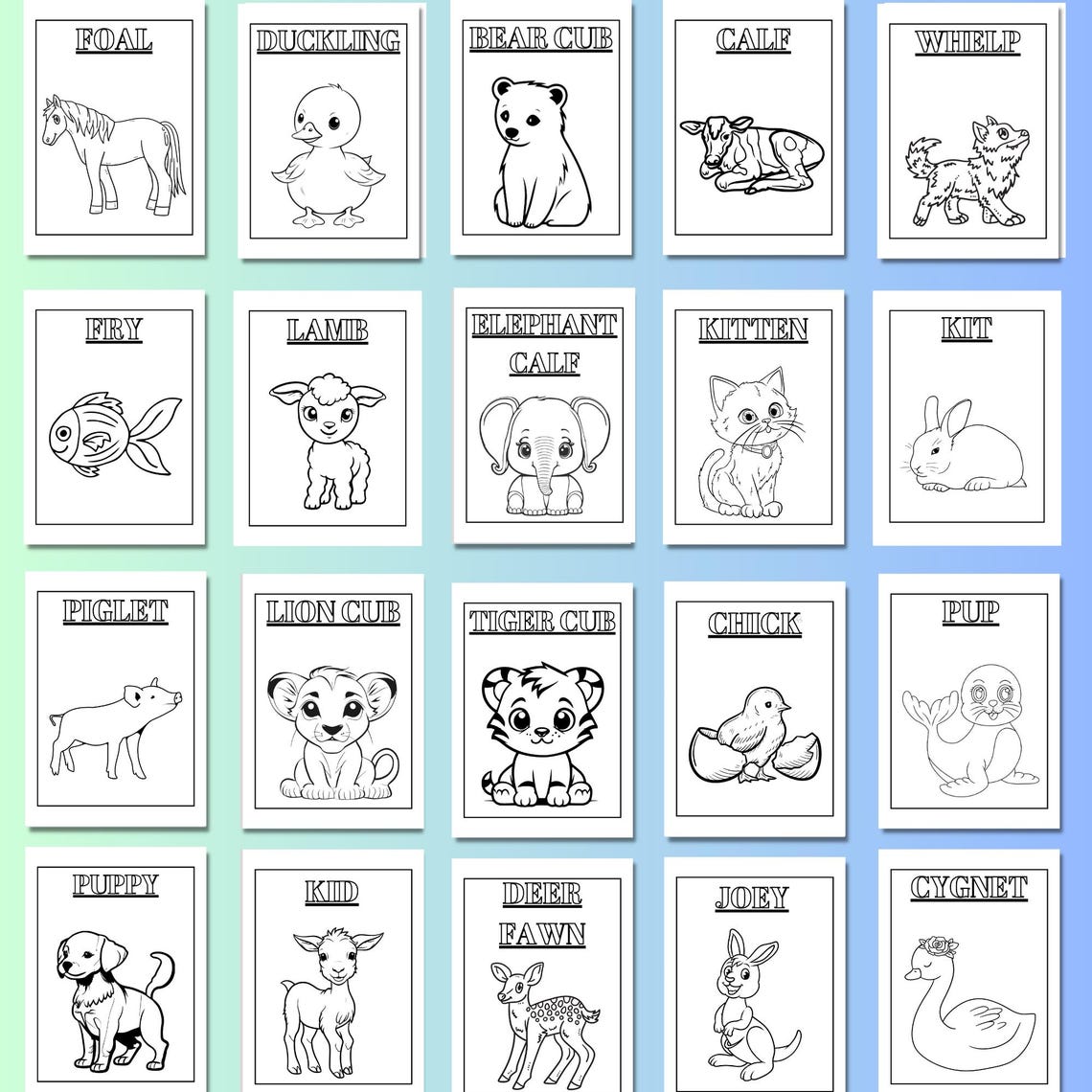 Baby Animal Coloring Pages Printable Flash Cards Worksheets for Kids ...