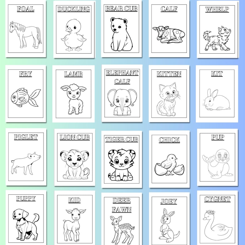 25 Baby Animal Coloring Pages Educational Flash Cards for Kids Learning ...