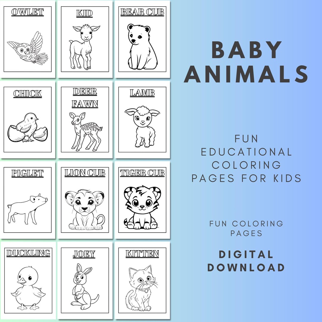 25 Baby Animal Coloring Pages Educational Flash Cards for Kids Learning ...