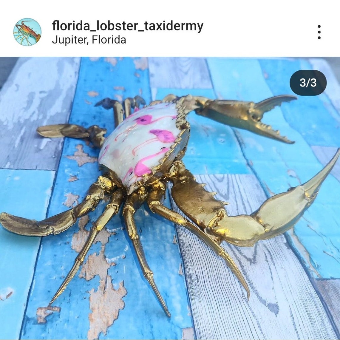Large Chic 'pink Flamingo' Blue Crab Taxidermy (gold Nautical Decor) - Etsy