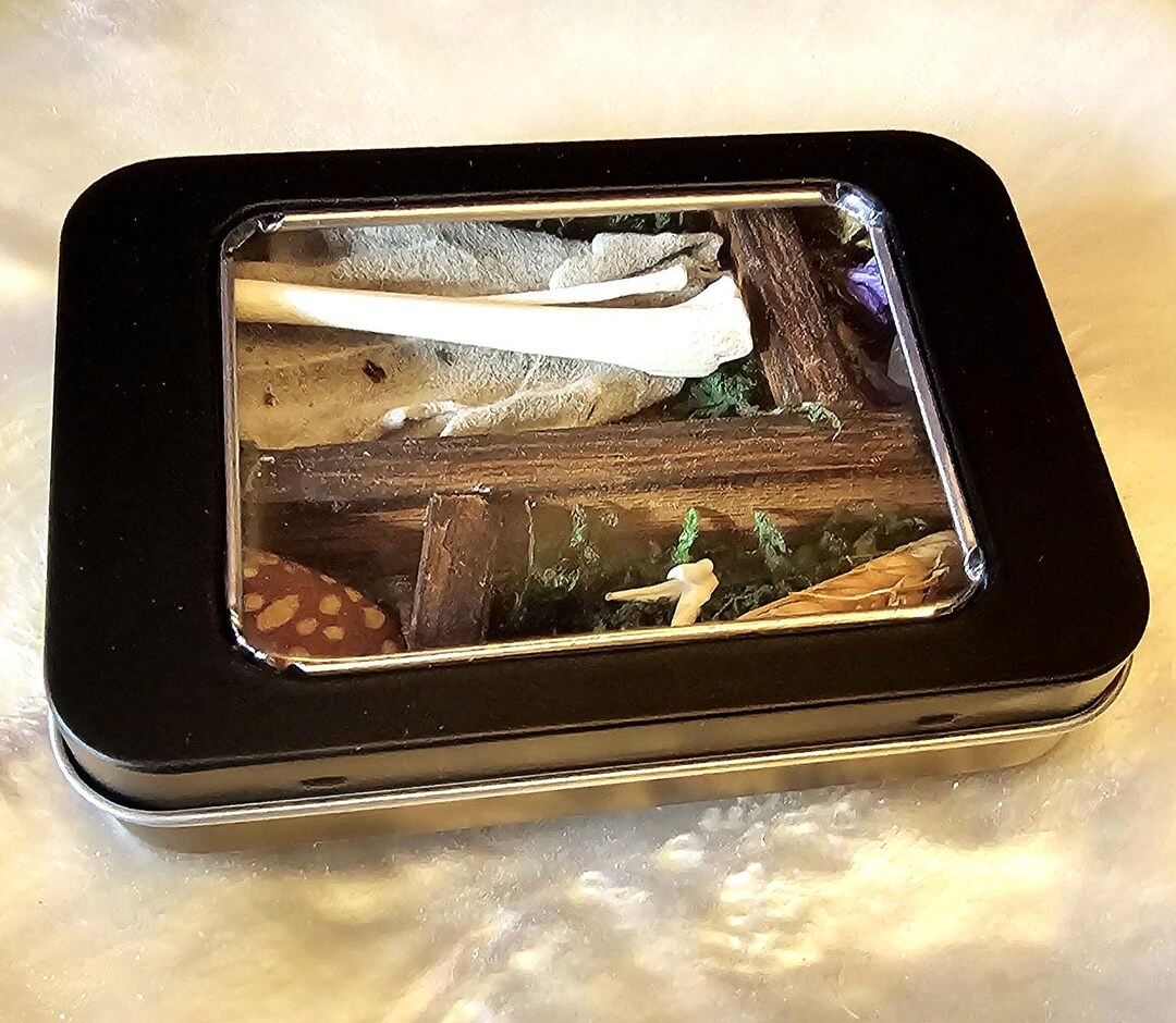 Curio Tin, Curiosities, Oddities, Natural Curio, Animal Bones, Natural ...